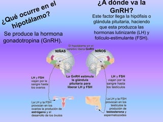 Adolescencia | PPTX