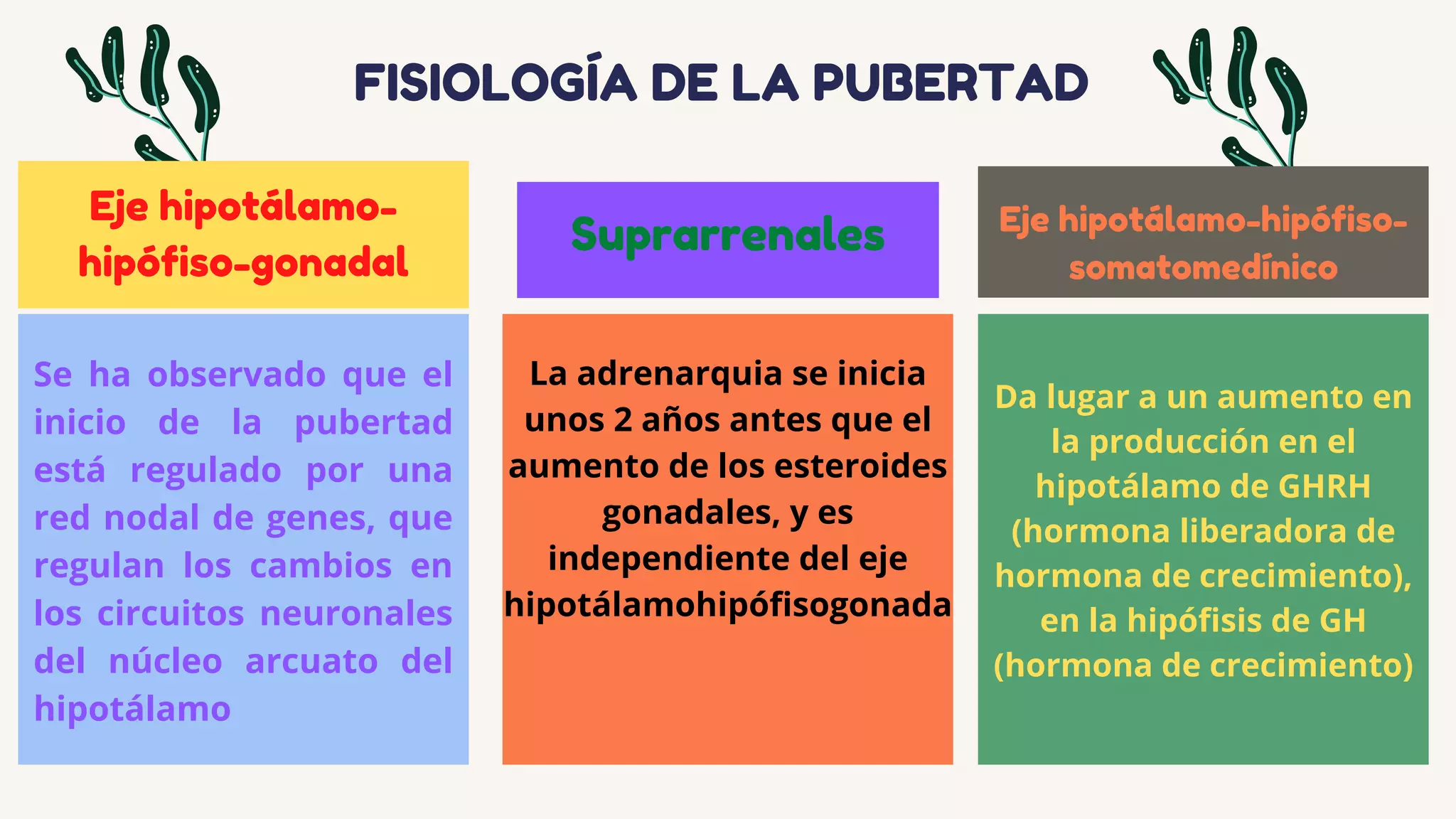 Adolescencia y Pubertad | PDF | Reproductive Health | Diseases and ...