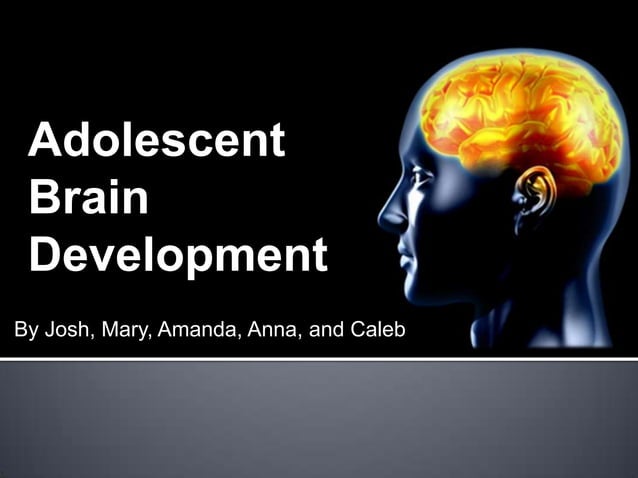 Adolescent Brain Development | PPT