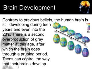 Adolescent Brain Development | PPTX