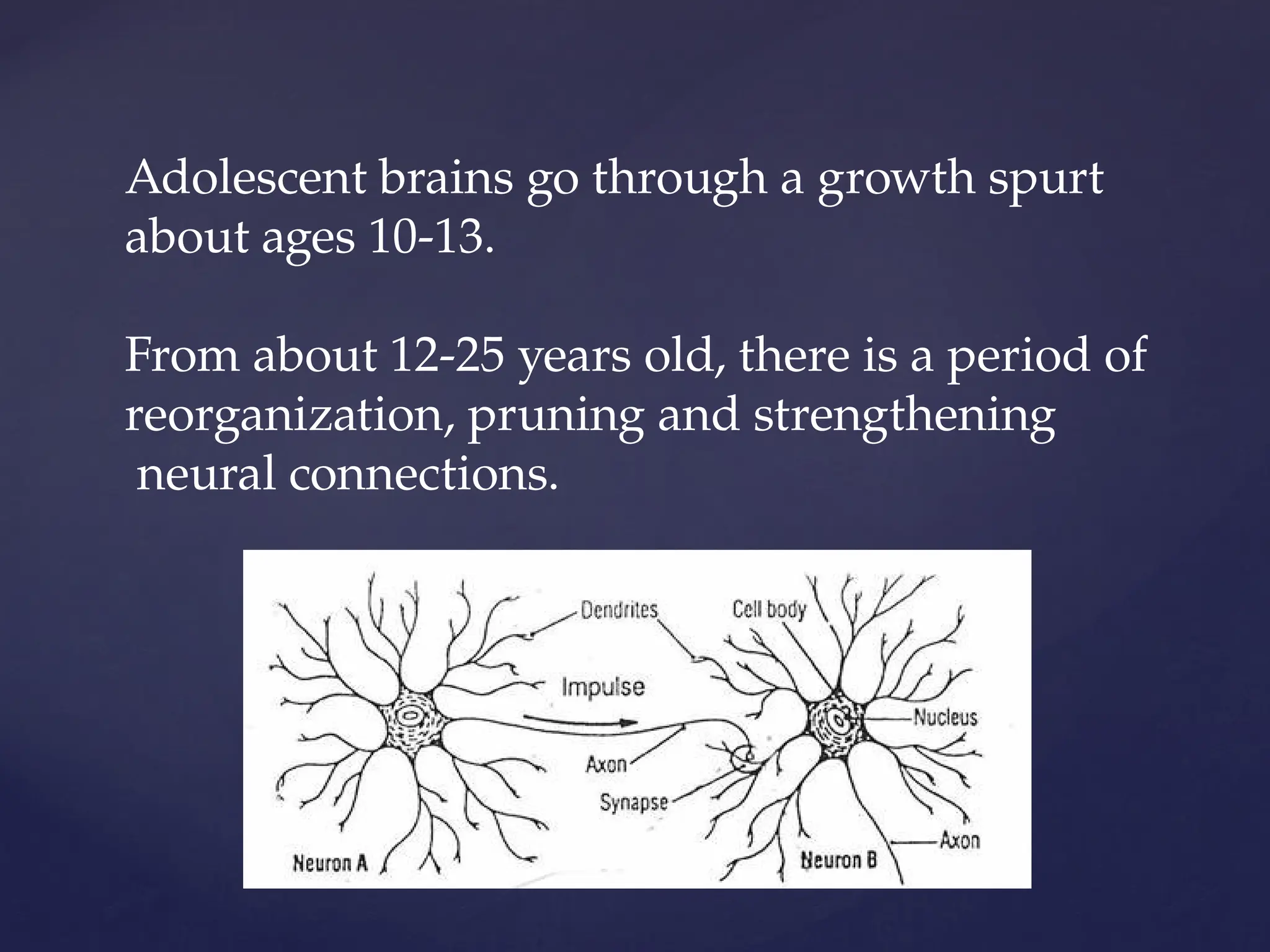 Adolescent Brain & Teaching Revised.pptx