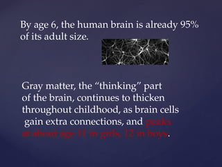 Adolescent Brain & Teaching Revised.pptx