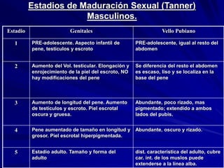 ADOLESCENTE CRECIMIENTO Y DESARROLLO GABRIELA.ppt