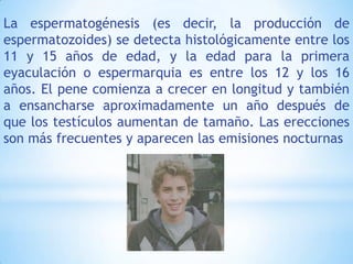 Adolescentes y sus cambios | PPTX