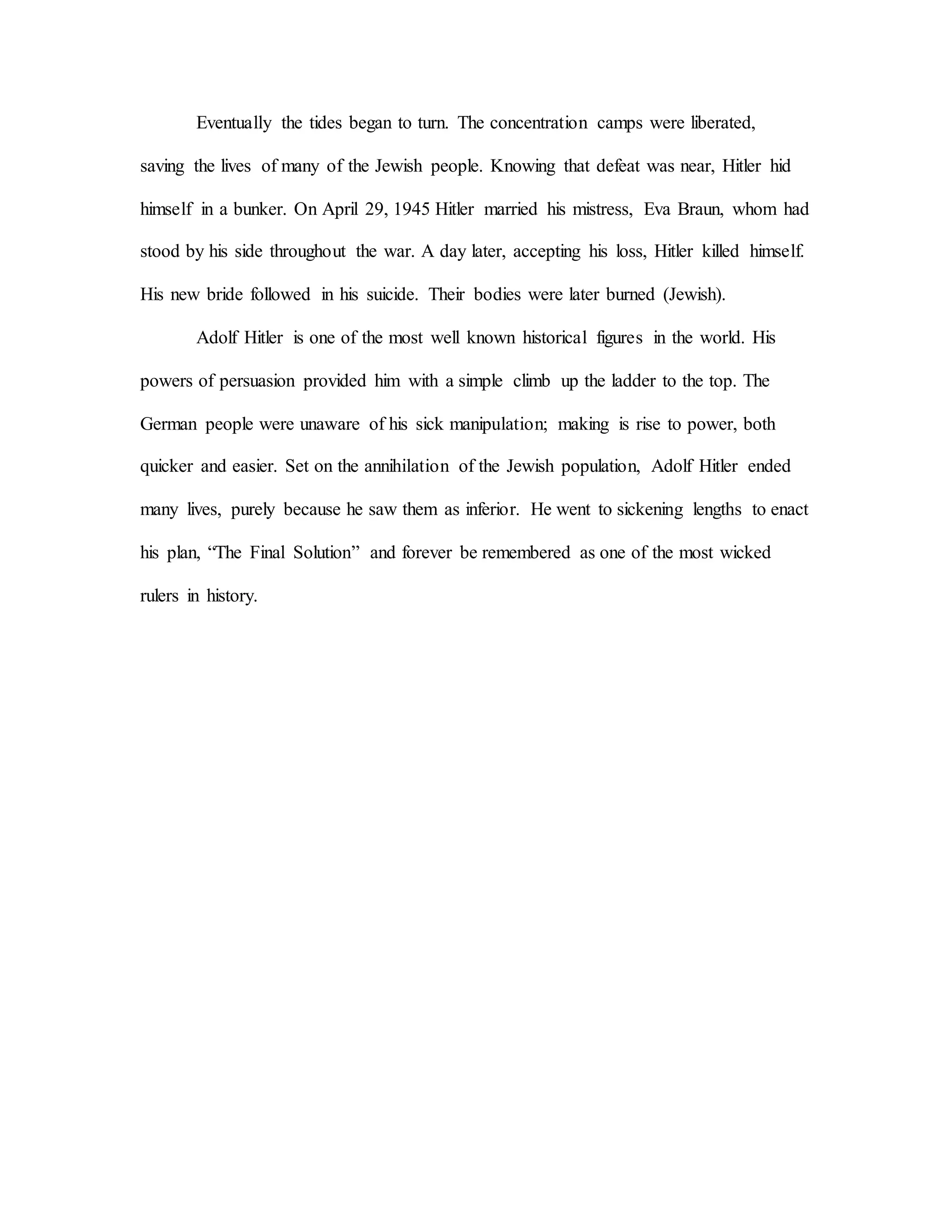 Adolf Hitler's Rise to Power | DOCX