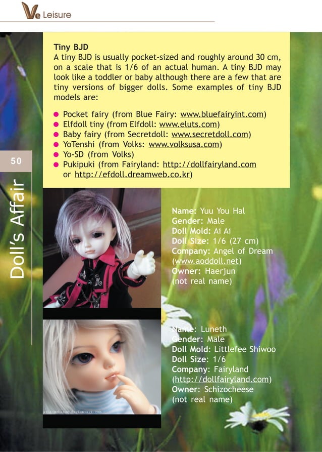 A Doll’s Guide To BJDs | PDF | Skin Care | Beauty