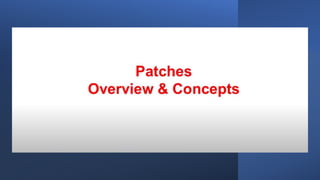 ADOP_Presentation_V1.pptx