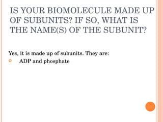 Adopt a-biomolecule-atp | PPT