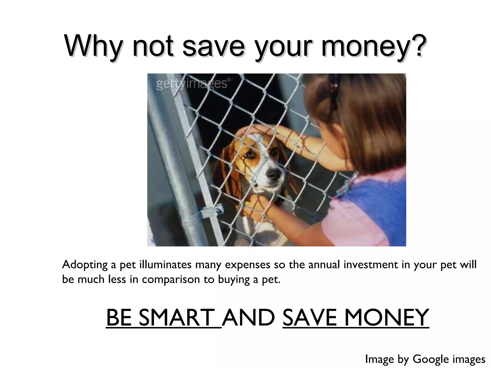 Adopt A Pet | PPT