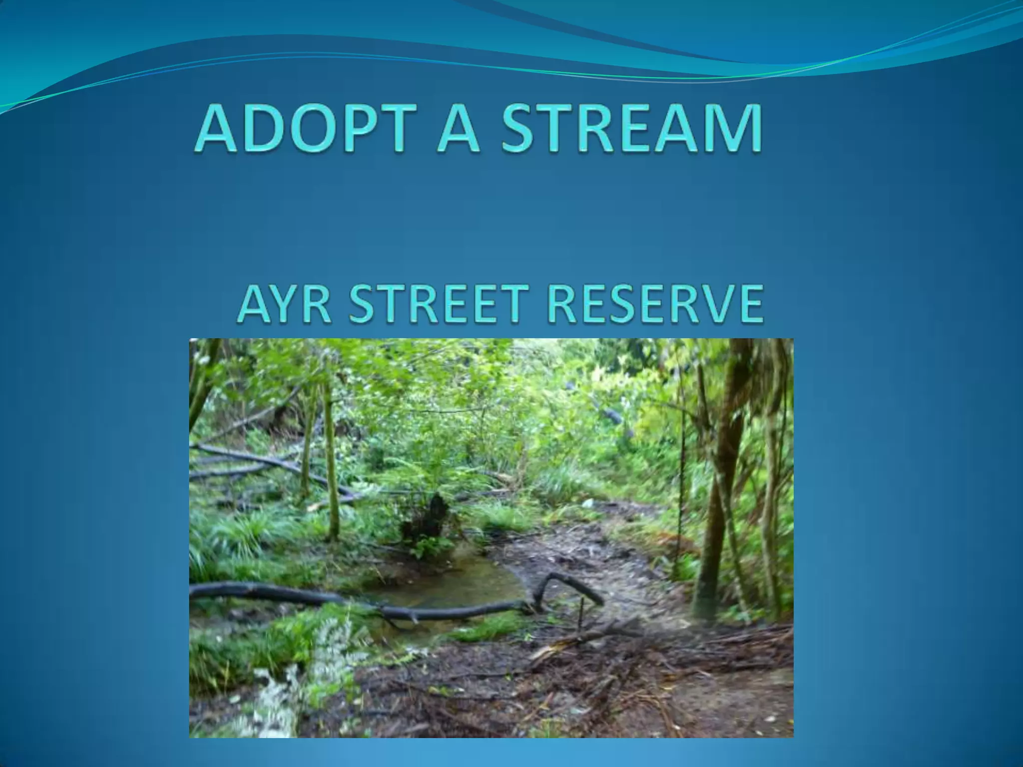 Adopt a stream | PPTX