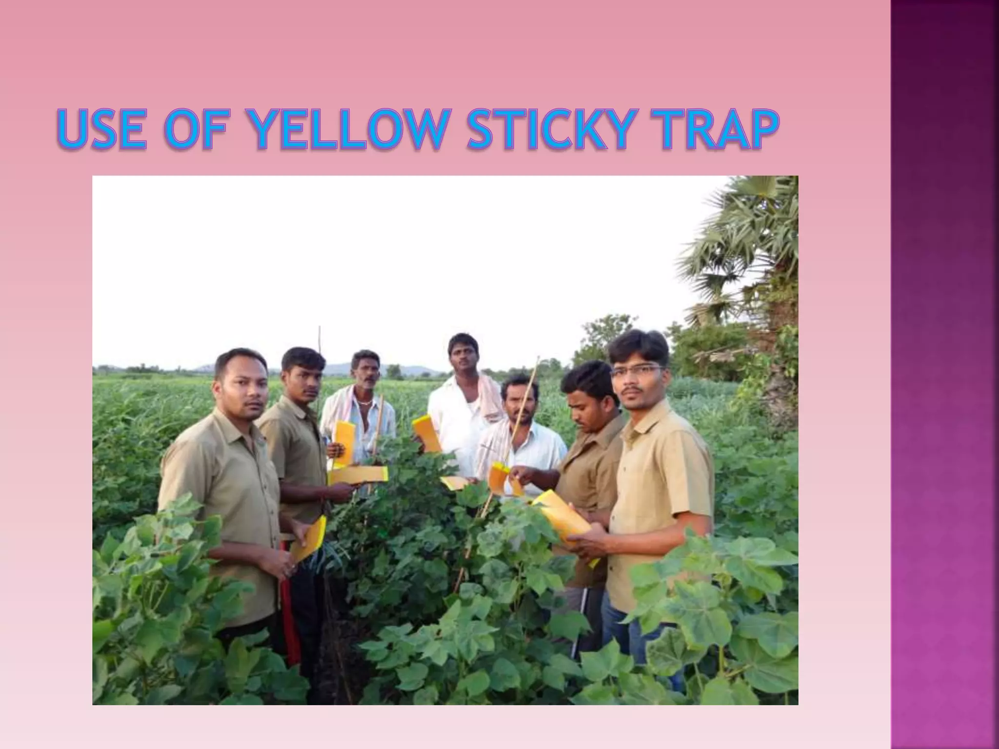 Adoption & adoption process stages | PPTX