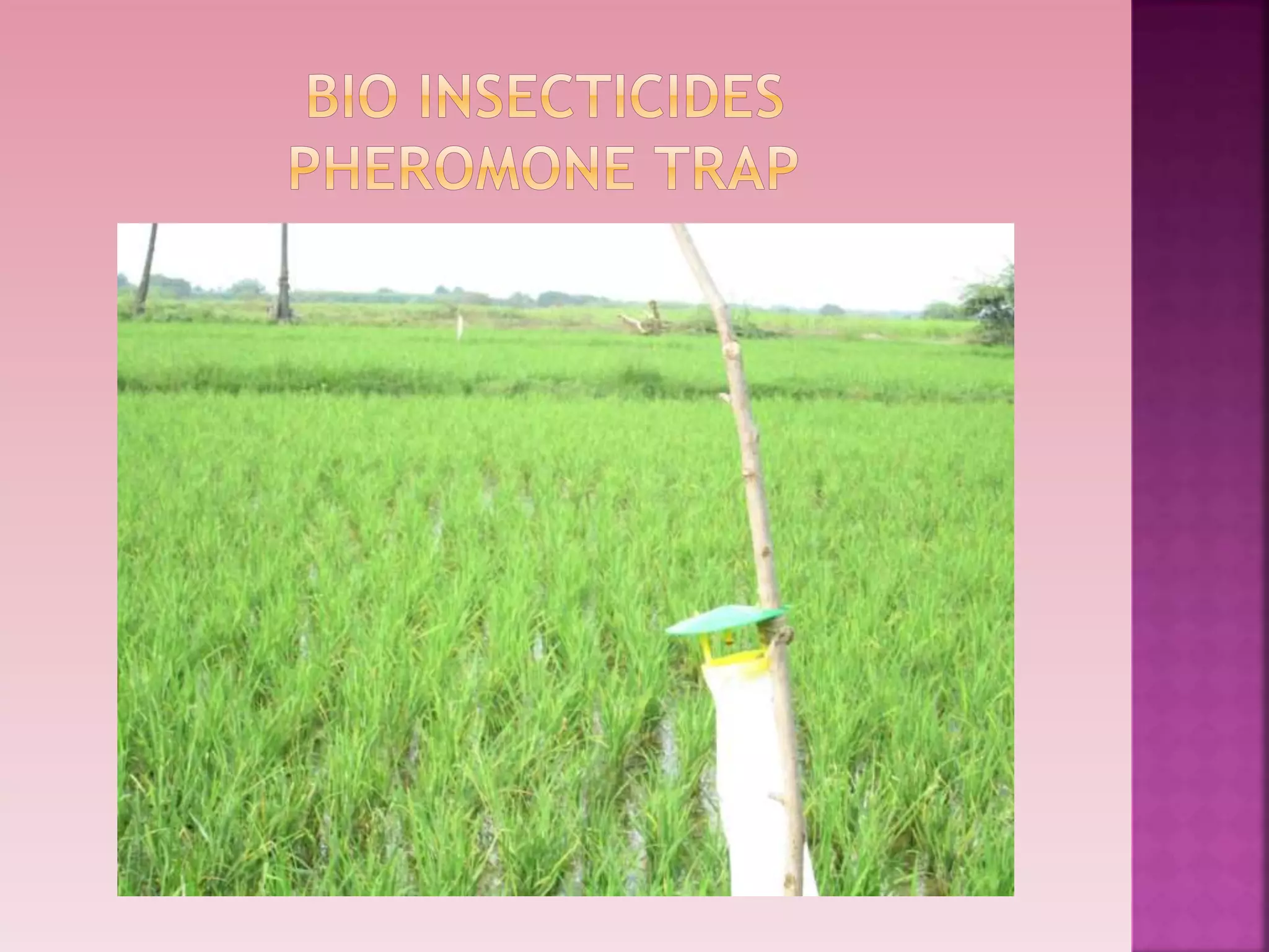 Adoption & adoption process stages | PPTX