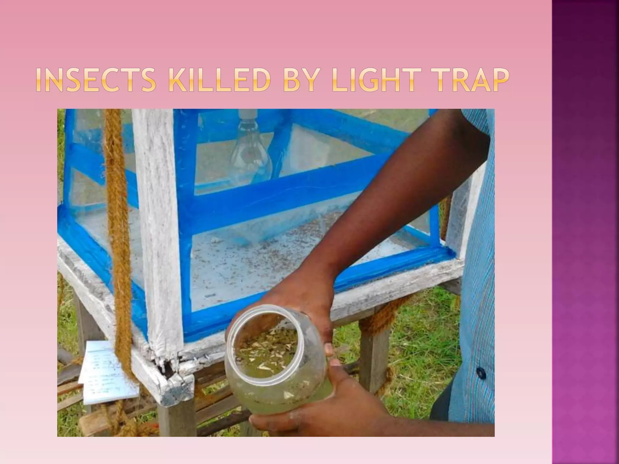 Adoption & adoption process stages | PPTX