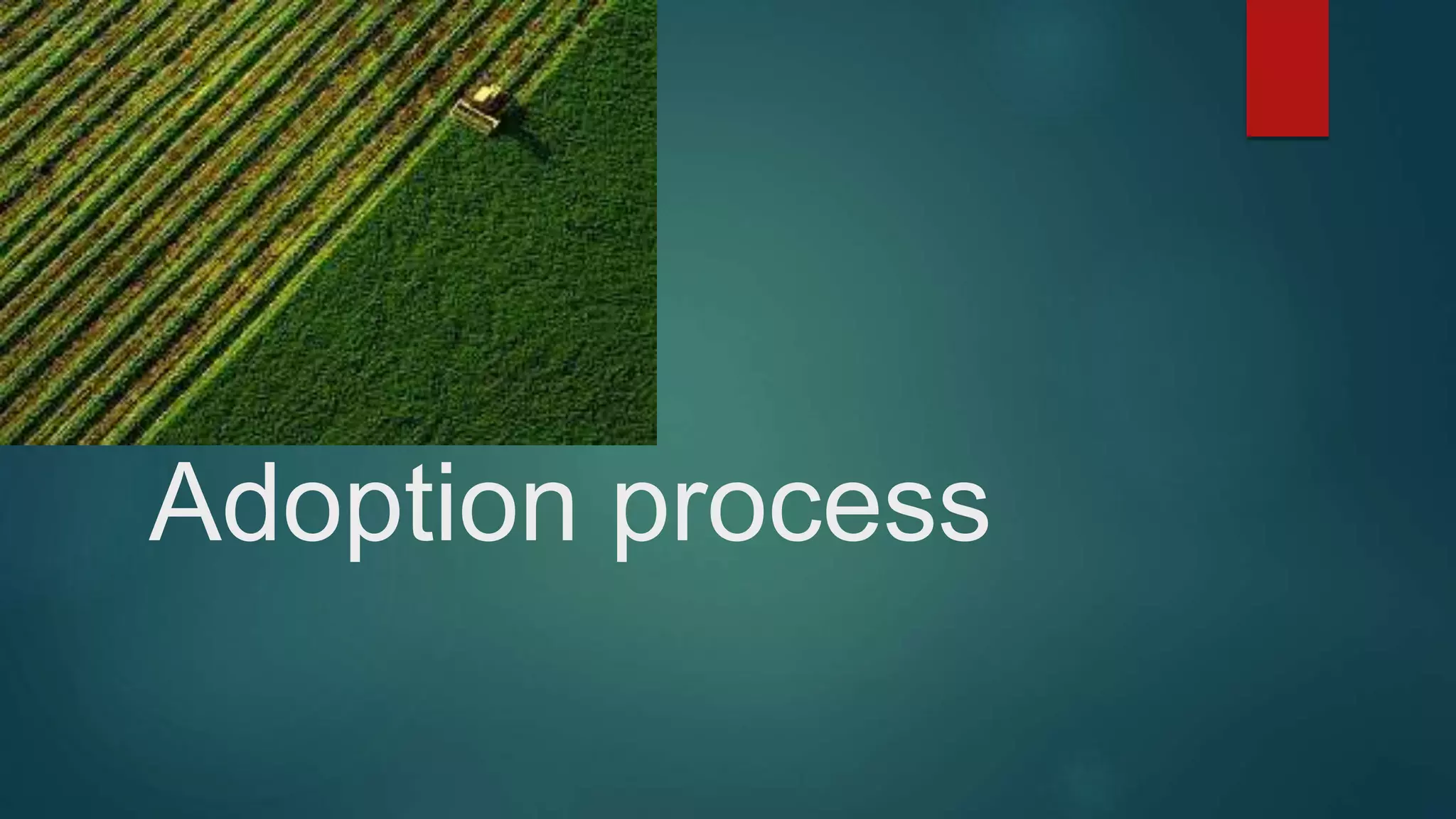 Adoption process and stages | PPTX