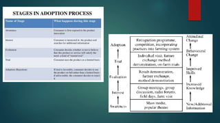Adoption process and stages | PPTX