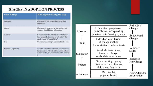 Adoption process and stages | PPTX