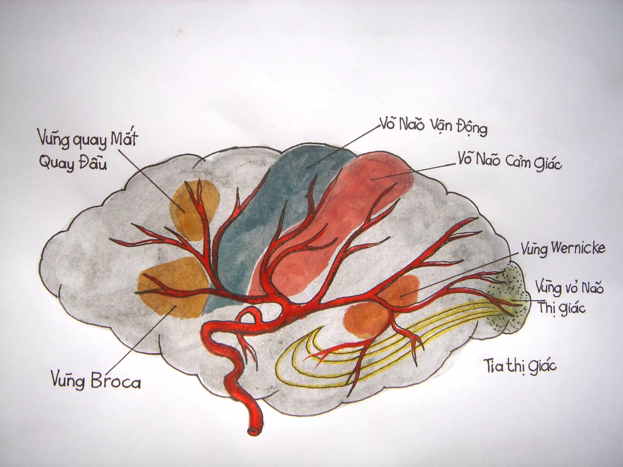 dot quy nao 2014 | PPT