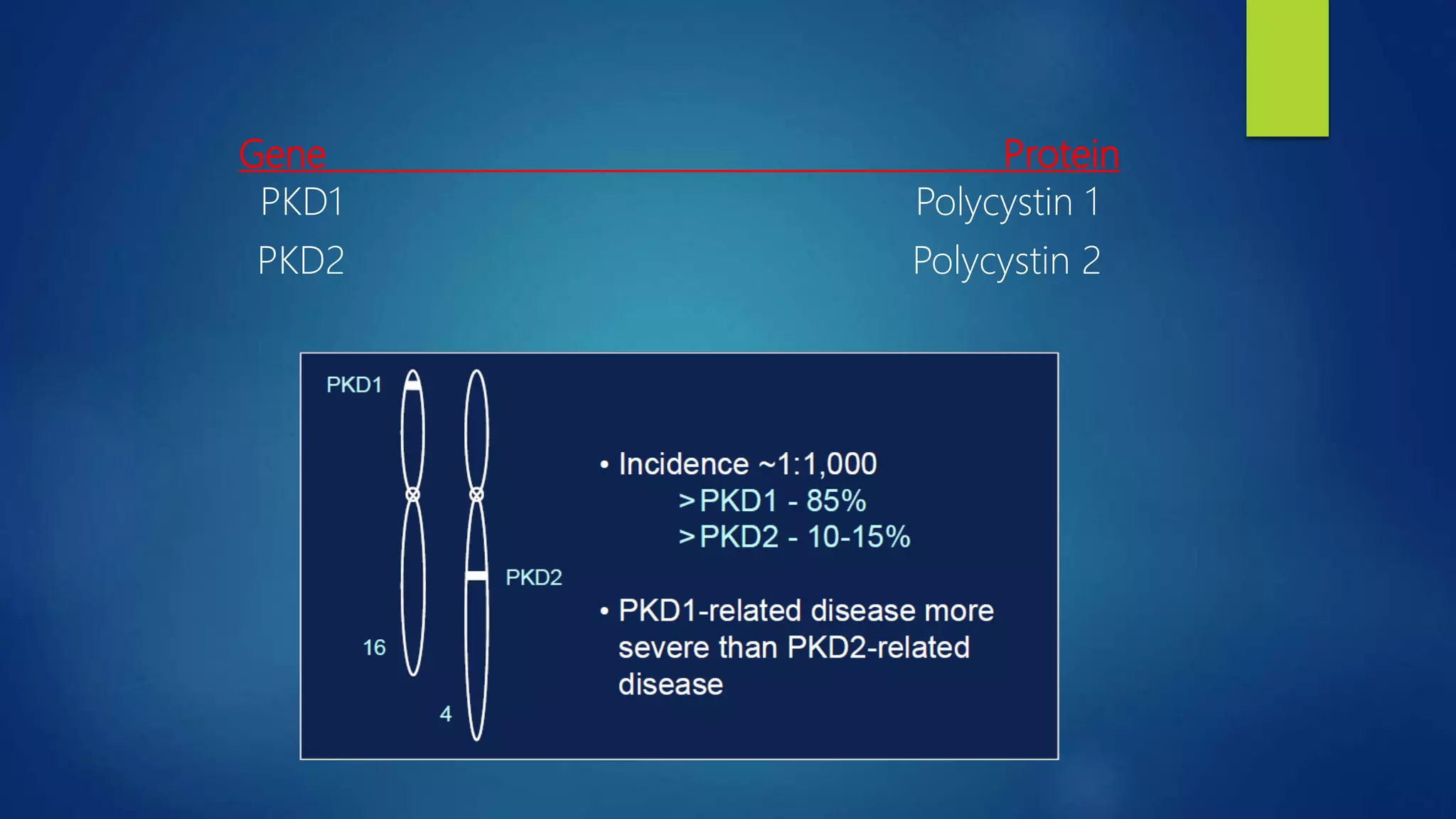 Autosomal Dominant Polycystic Kidney Disease | PPTX