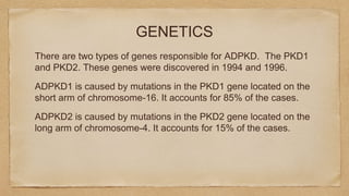 Understanding of the ADPKD FMC JABI.pptx