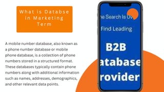 Best Database provider in india. b2b database provider | PPT