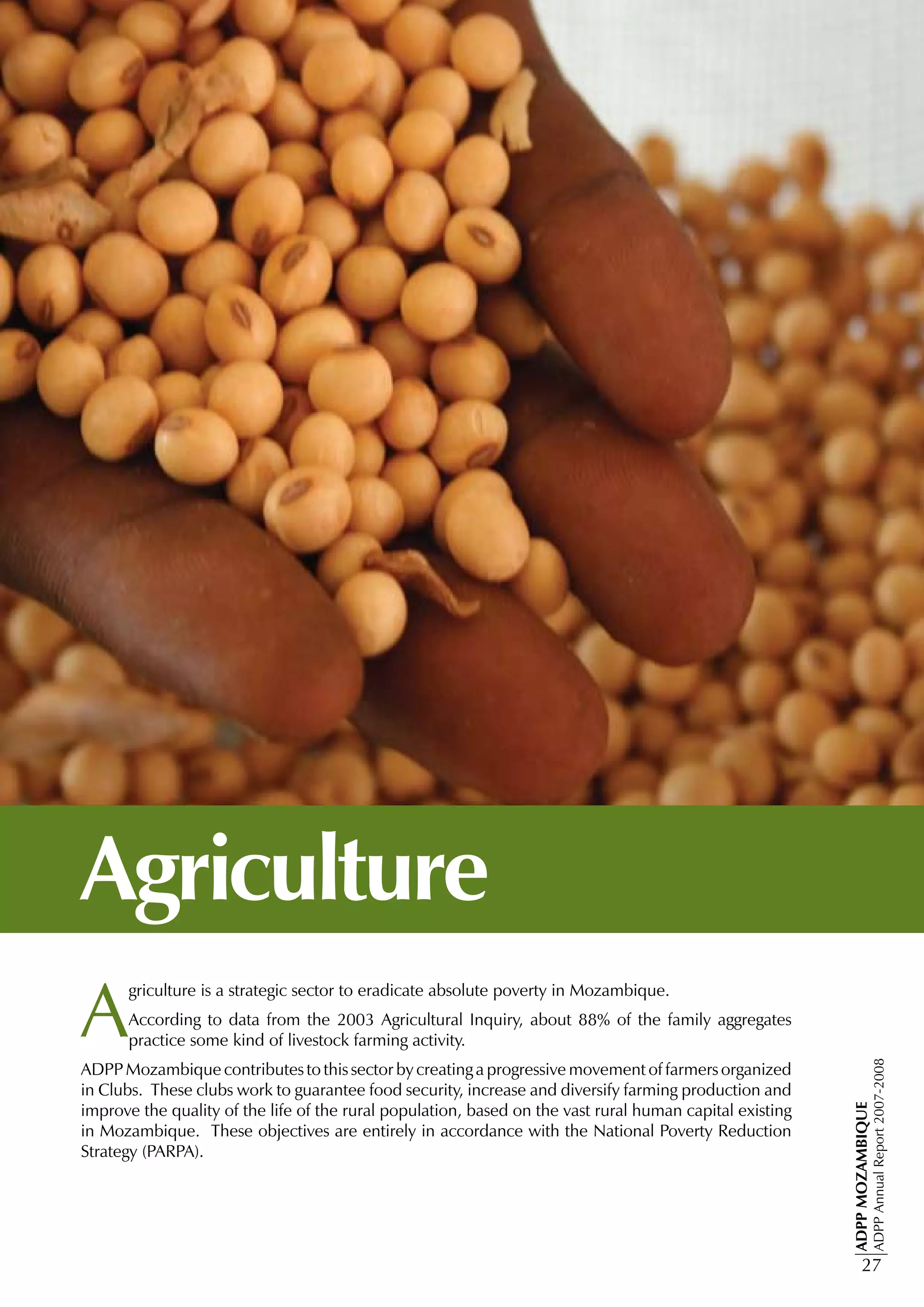 ADPP Mozambique | PDF