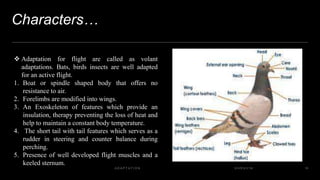 ADPTATIONS of arboreal volant aquatic and desert | PPTX
