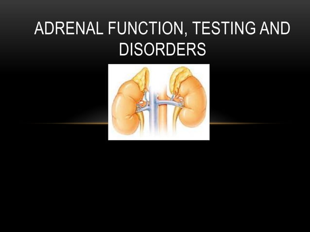 Adrenal function, testing and disorder.pdf