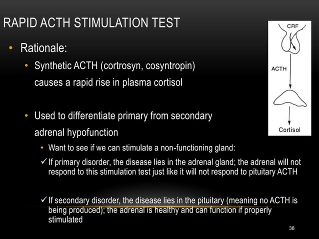 Adrenal function, testing and disorder.pdf
