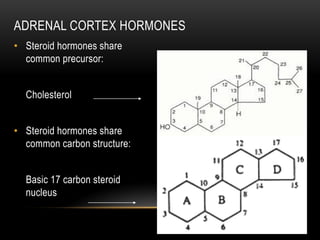 Adrenal function, testing and disorder.pdf