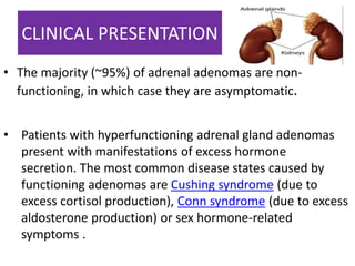 Adrenal Adenoma Radiology | PPTX