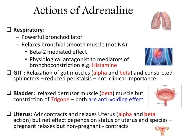Adrenal agonist