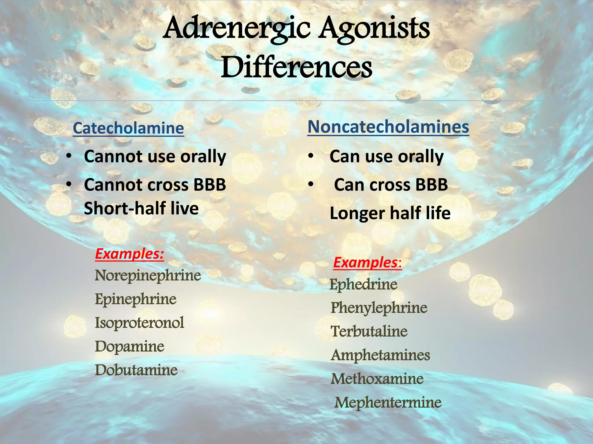 Adrenal agonist agents | PDF | Endocrine and Metabolic Diseases ...