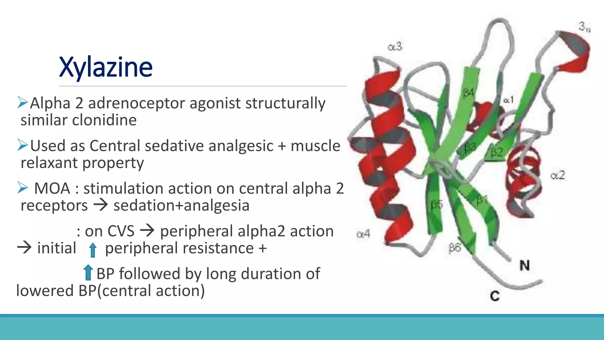 Adrenergic agonists & antagonists in veterinary medicine | PPTX