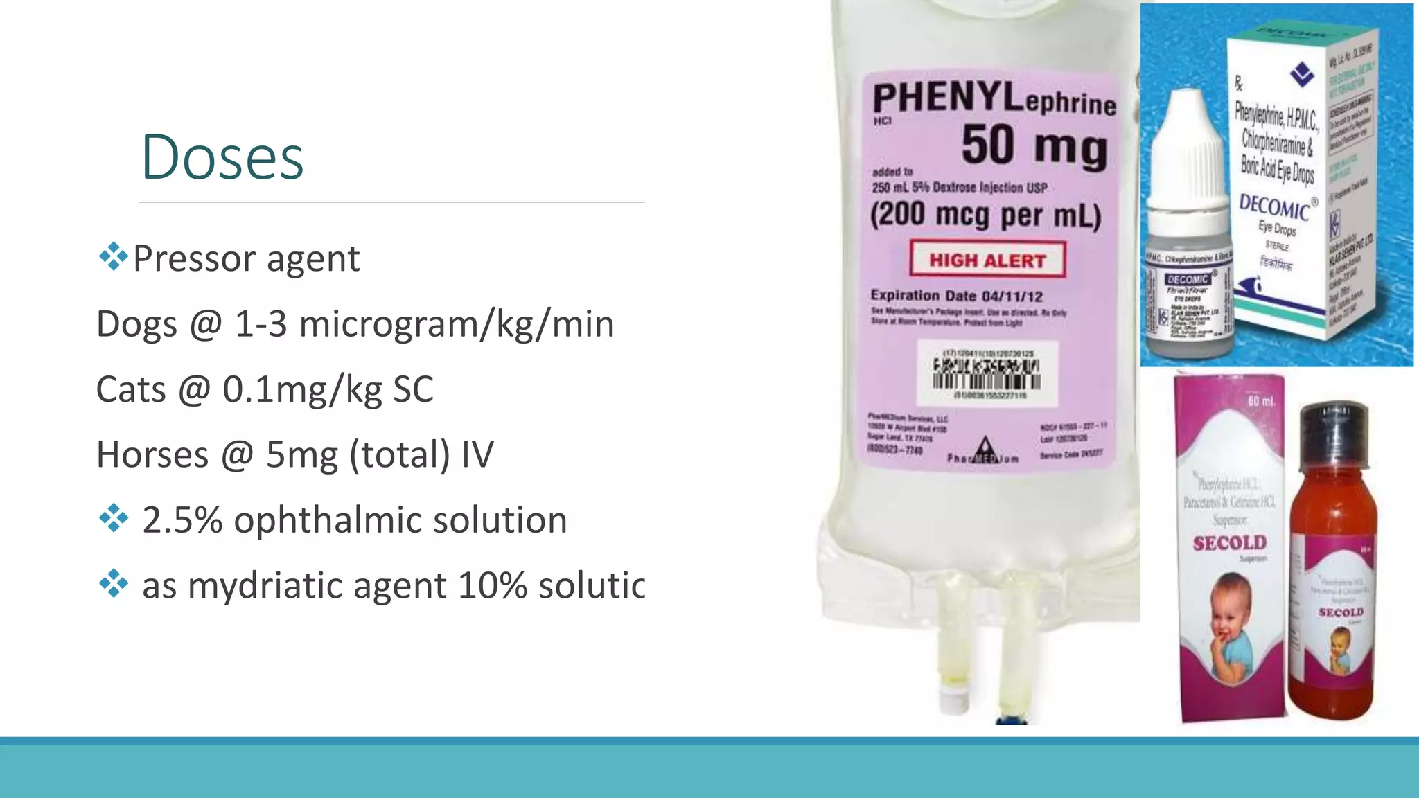 Adrenergic agonists & antagonists in veterinary medicine | PPTX