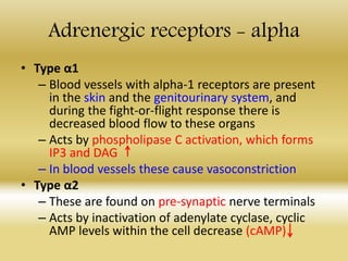 Adrenal antagonist agent | PPT