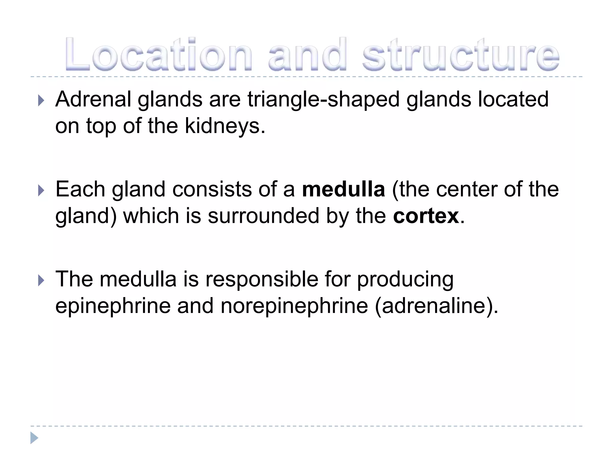 Adrenal cortex | PPTX