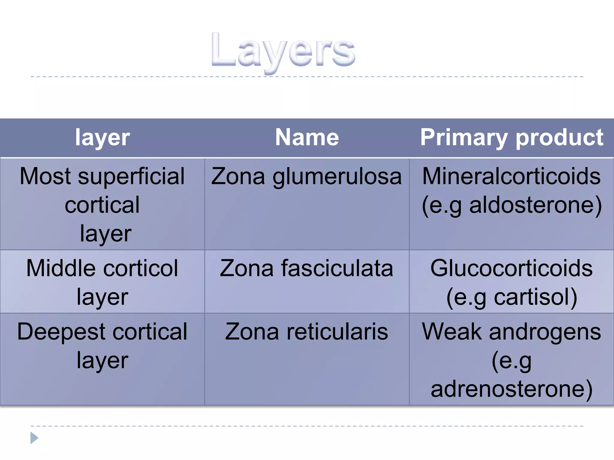 Adrenal cortex | PPTX