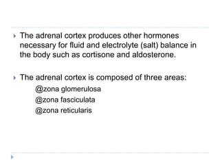 Adrenal cortex | PPTX