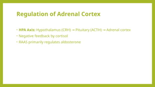 adrenal cortex functions physiology it's hormones | PPTX