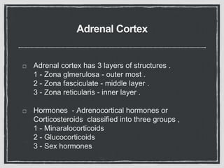 Adrenal cortex 1 | PPTX