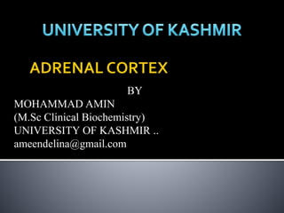 Adrenal cortex ppt | PPTX