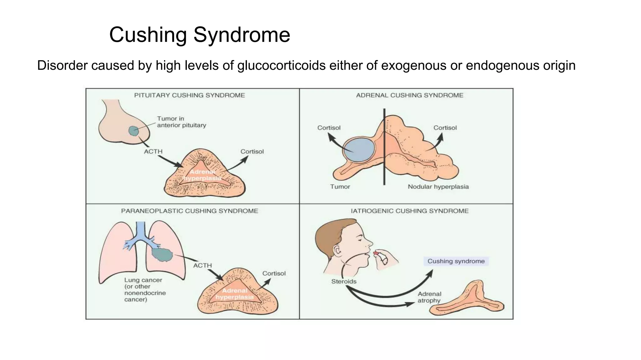 Adrenal cortical disorderspptx | PPTX
