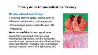 Adrenal cortical disorderspptx | PPTX