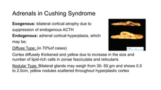 Adrenal cortical disorderspptx | PPTX