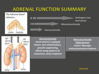 Adrenal crisis | PPTX