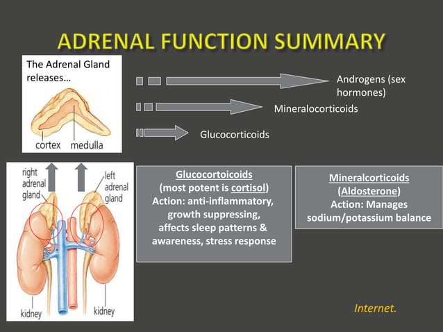 Adrenal crisis