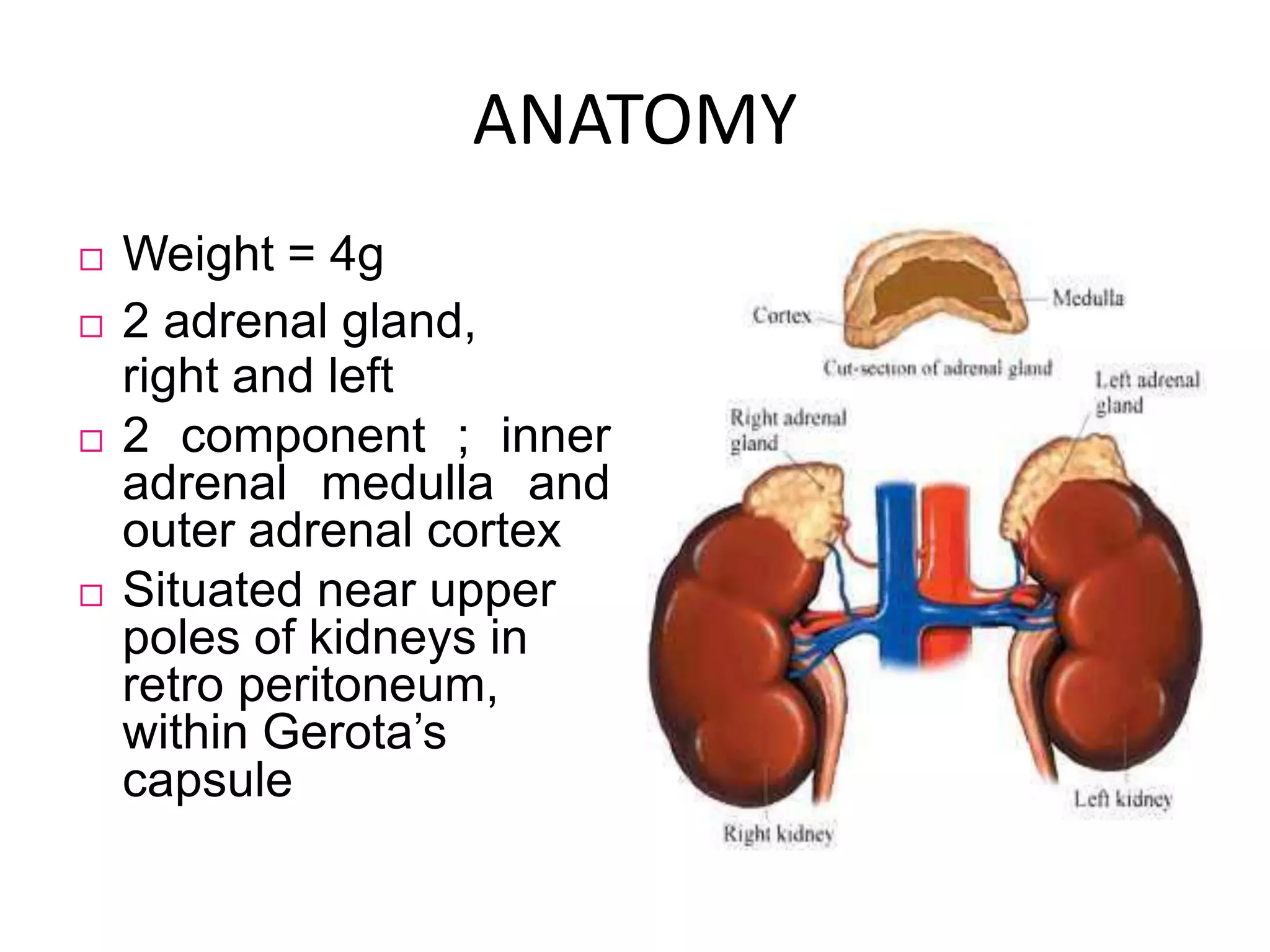 Adrenalectomy new | PPTX