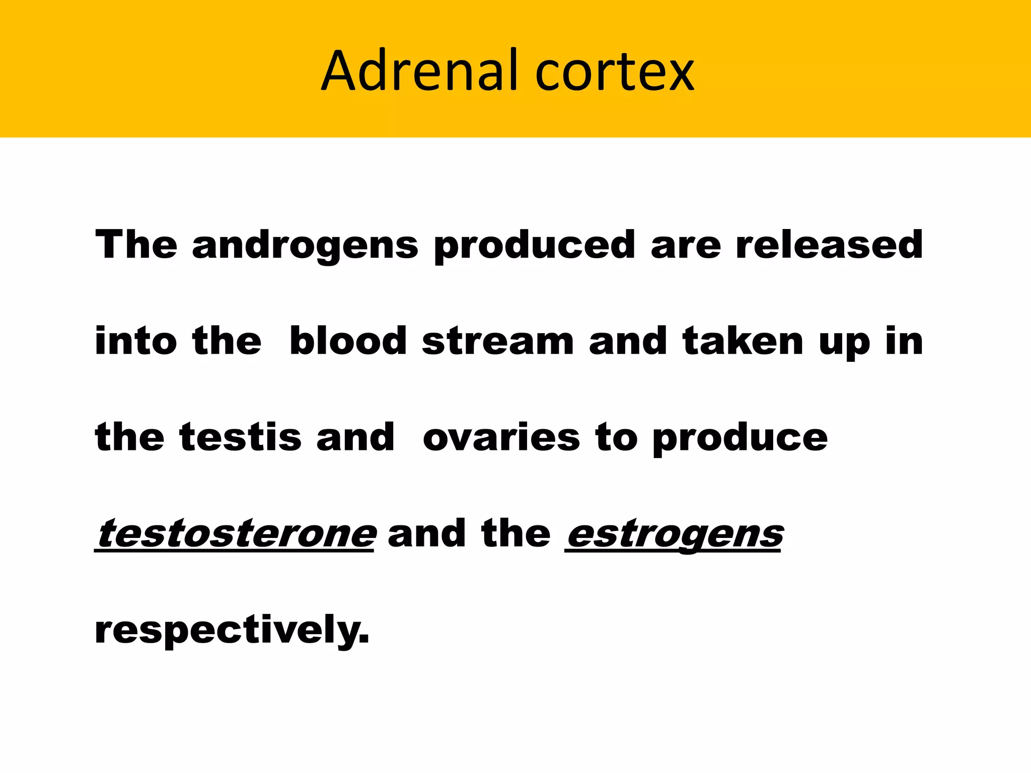 adrenal function tests.pptx