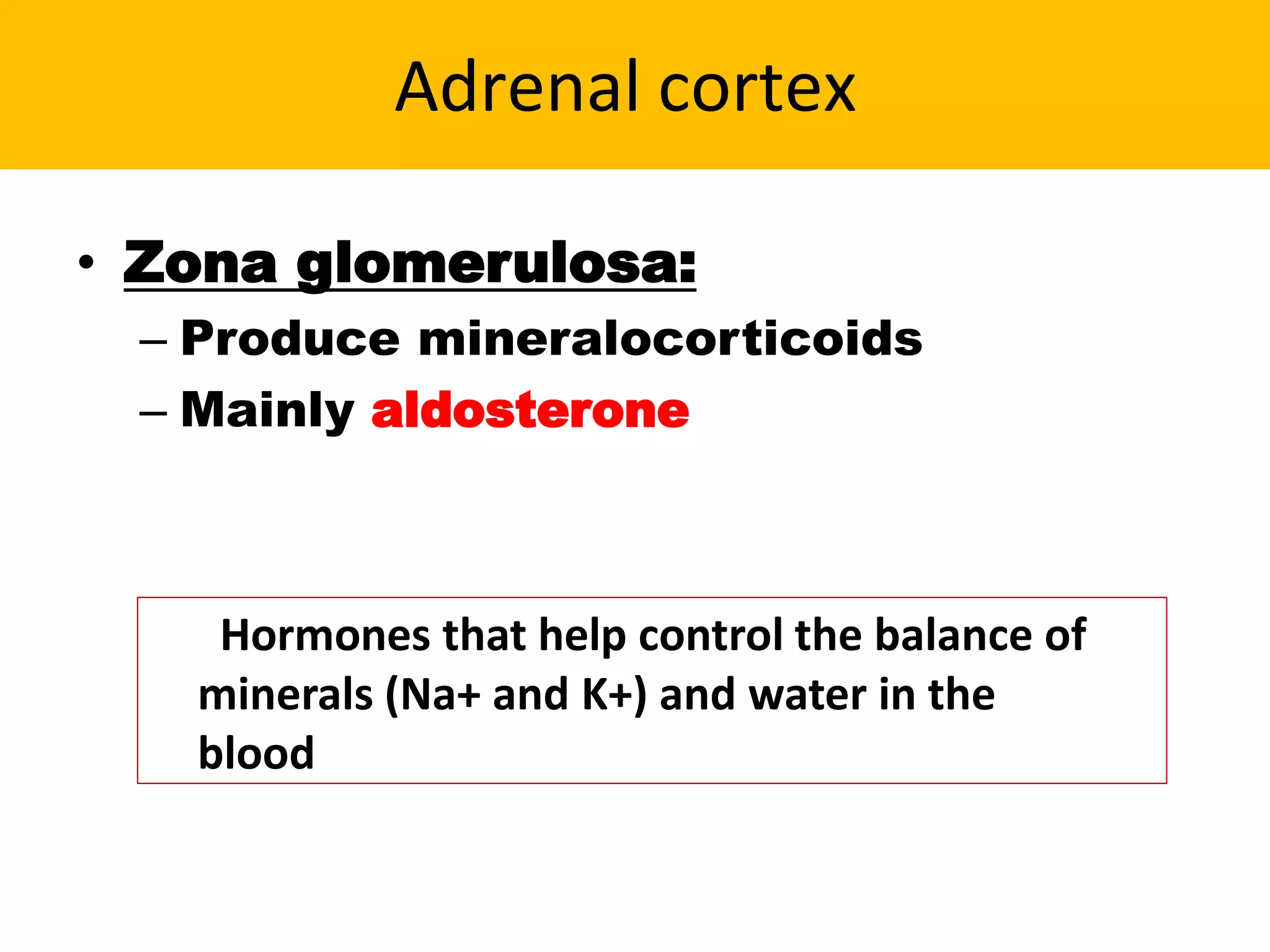 adrenal function tests.pptx