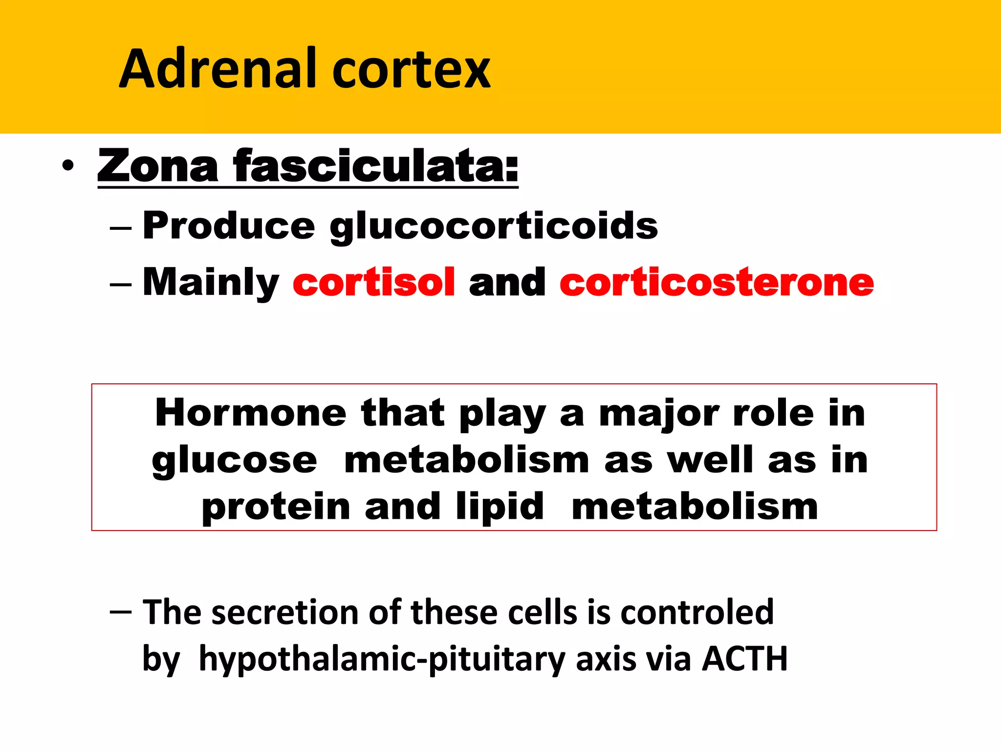 adrenal function tests.pptx